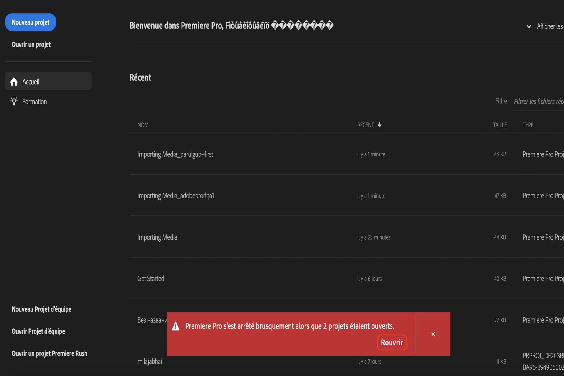 Résumé Des Fonctionnalités De Premiere Pro Version Doctobre 2023